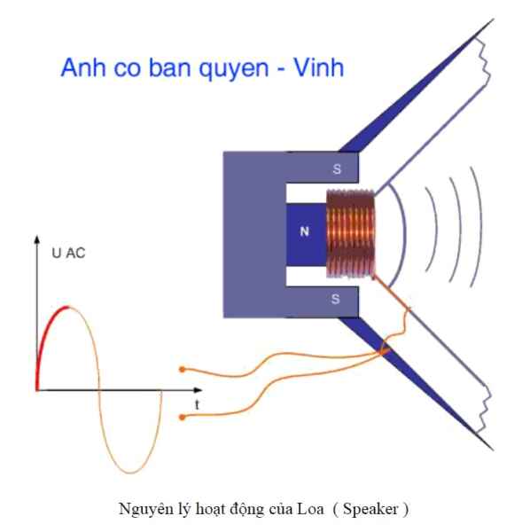 nguyen ly hoat dong cua loa - Elitech Việt Nam